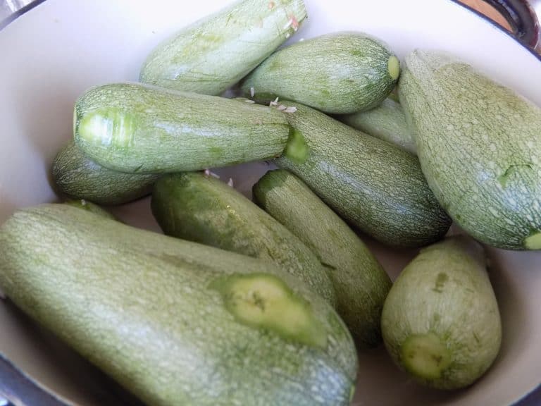 Kusa (Stuffed Zucchini)